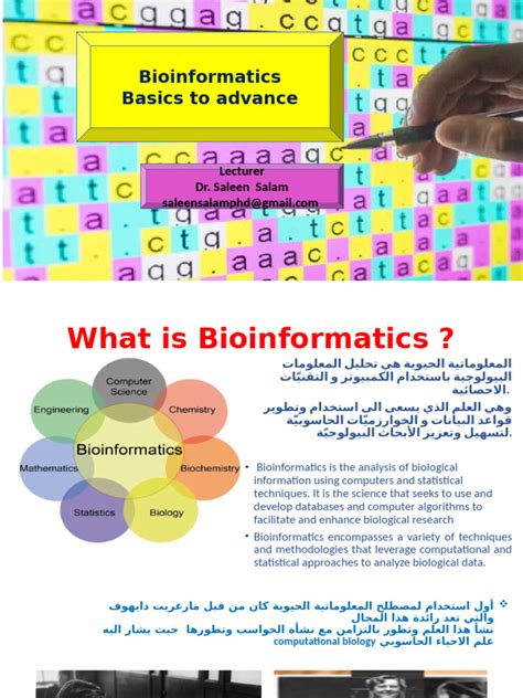 Bioinformatics Basics To Advance Pdf Phylogenetic Tree Bioinformatics