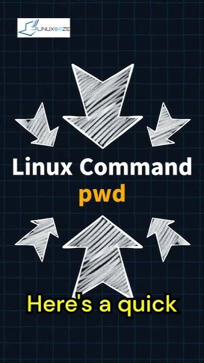 Master The Pwd Command In Linux 🖥️ Linuxadministrator Programming Linuxguides Youtube