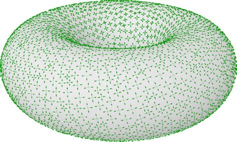 A Cross Field Without Singularities Is Shown On A Torus Download Scientific Diagram