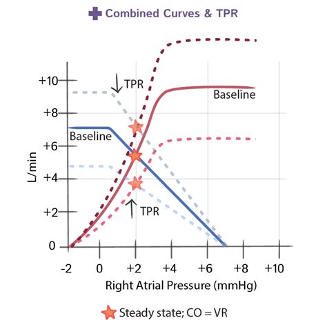 Cardiac Output Vascular Function Curves Physiology Flashcards Ditki Medical And Biological