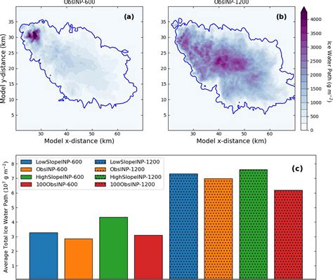 Investigating The Relative Roles Of Inps And Ccn In A Simulated Thunderstorm Using A New
