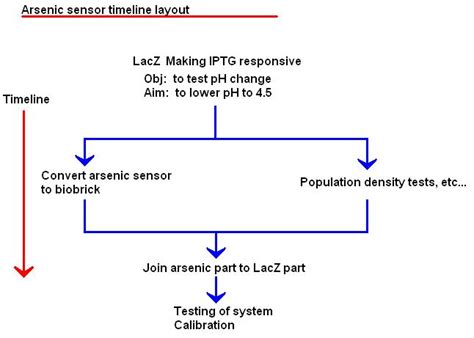 Arsenic Biosensor