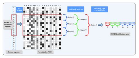 Schematic Diagram Of Pssm Position Specific Scoring Matrix Mlab