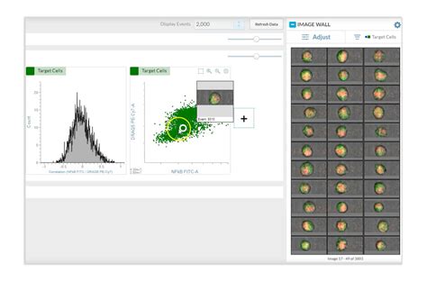 BD CellView Image Technology