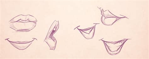 How To Draw The Female Form Easy Tutorial Steps Toons Mag