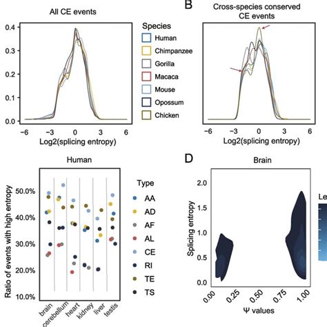 Evolution Of Splicing Complexity A Spearman Correlation Between Human