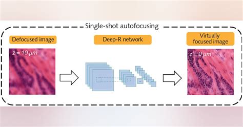 Deep Learning Enables Single Shot Autofocus In Microscopy Applications