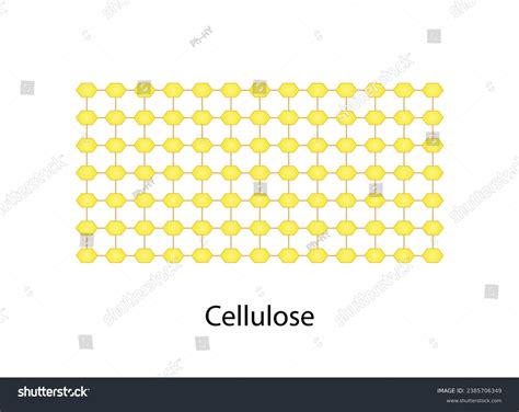 Cellulose Structure Polysaccharide Vector Illustration Stock Vector Royalty Free 2385706349