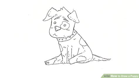 4 Ways To Draw A Puppy WikiHow