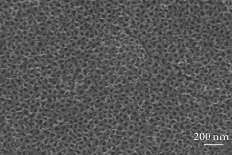 Nanotech Boosts Dental Implant Surface Quality