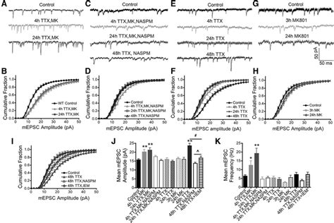 Homeostatic Synaptic Potentiation Requires Synaptic Recruitment Of Download Scientific Diagram