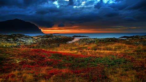 Контрастные обои на рабочий стол 65 фото