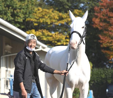 白毛ソダシの写真集第2弾が5・3発売！一族も勢ぞろい”白毛づくし”の内容 競馬写真ニュース 日刊スポーツ