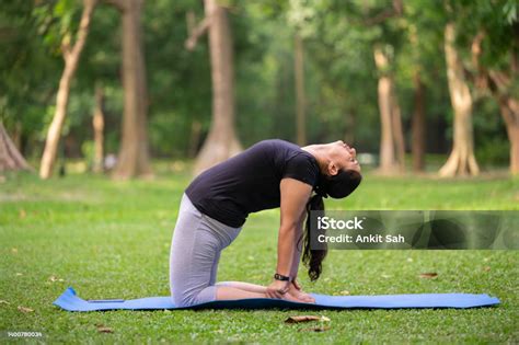 공원에서 낙타 포즈 또는 Ustrasana 운동을하는 활동적인 노인 여성 요가에 대한 스톡 사진 및 기타 이미지 요가 낙타 자세 Ustrasana 낙타 Istock