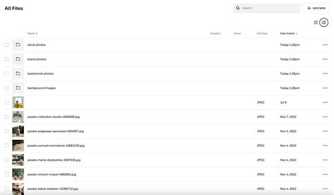 Master The Art Of Organizing Reusing And Uploading Photos And Videos In Squarespace