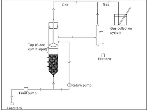 Pilot Scale Fluidized Bed Reactor Design Download Scientific Diagram