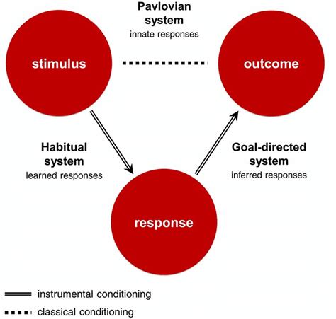 Response Science Diagram Pic