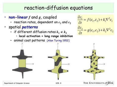Ppt Simulation And Complexity Scb Simulating Complex Biosystems
