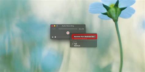 How To Record Speaker Output On MacOS