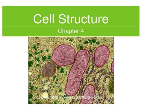 PPT Cell Structure PowerPoint Presentation Free Download ID