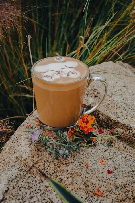 가을 거품 예술 꽃 꽃꽂이 꽃무늬 돌 따뜻한 음색 라떼 아트 러스틱 맛있는 모닝 커피 미식가 커피 브라운 커피 브루잉 수직 쐈어 술을 마시다