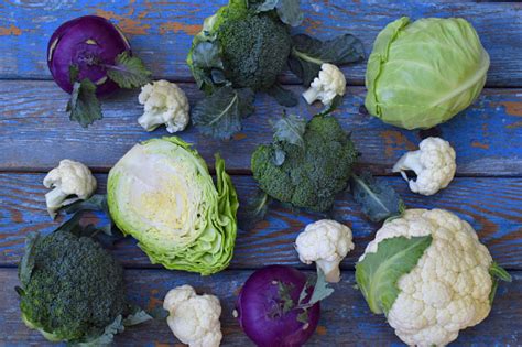 양배추 나무 배경에 다른 다양성에서 구성 콜리플라워 알 줄기 양배추 브로콜리 화이트 헤드 양배추 신선한 유기농 야채 보라색에