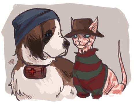 Sphinx Cat On Tumblr