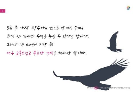 [인성] 솔개의 환골탈태
