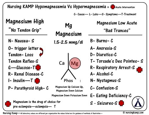 Magnesium Mg Nursing Mnemonics Nursing Notes Nclex
