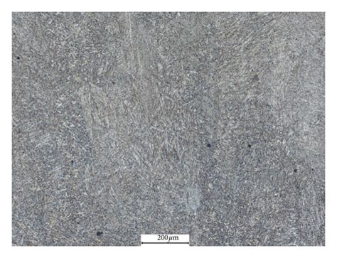 Microstructures Of The Specimens A Columnar Crystals In Sample 1 Download Scientific