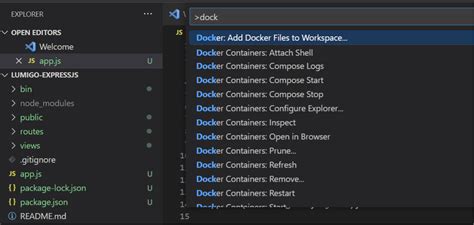 ExpressJS Container Debugging Lumigo