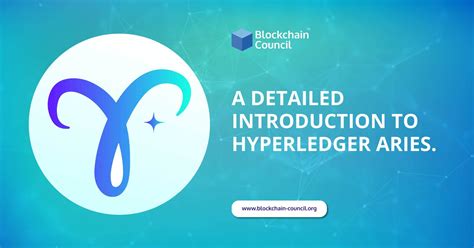 A Detailed Introduction To Hyperledger Aries Damian Kassab