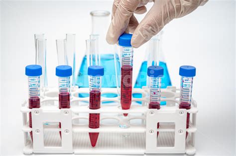 과학 의료 실험실 연구실 실습실 사진이미지일러스트캘리그라피 재로미작가