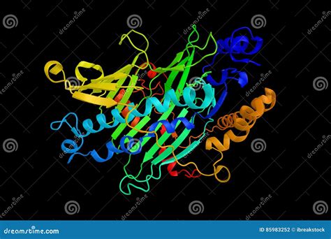 The Oxysterol Binding Protein Osbp Related Proteins Orps Are Stock Illustration
