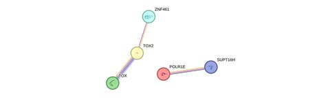 TOX2 Gene - GeneCards | TOX2 Protein | TOX2 Antibody