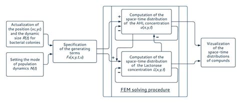 Functional Block Diagram Of The Model Implementation Download Scientific Diagram