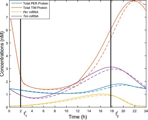Figure B8 Output Dynamics For The Original And Sub Models With
