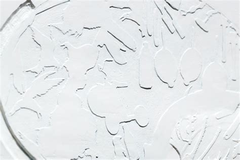 Direct Expression Paradigm Gallery Studio