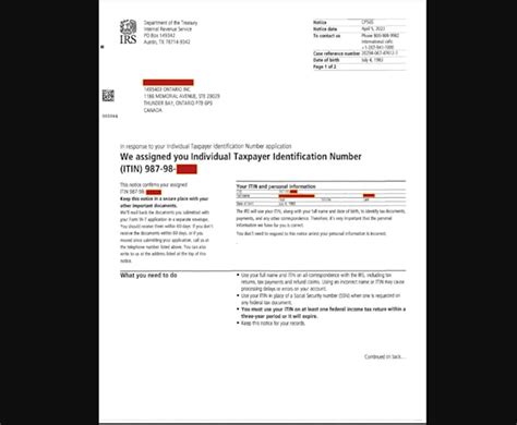 Apply For Individual Taxpayer Identification Number Itin Application By Ethan Alexandra Fiverr