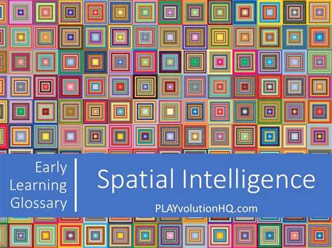 Spatial Intelligence Playvolution Hq