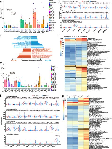 Therapy Induced Evolution Of Monocyte Like Dc And Cycling T Cell Immune