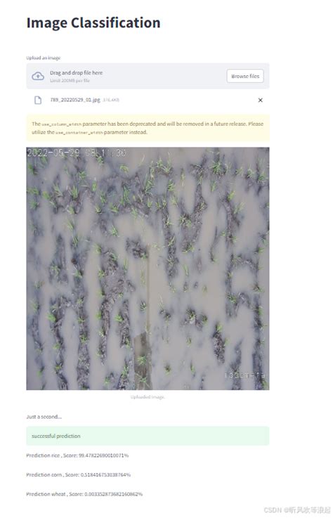 第9章：基于vision Transformer（vit）网络实现的迁移学习图像分类任务：早期秧苗图像识别vit迁移学习 Csdn博客