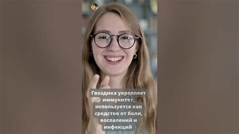 ГВОЗДИКА 50 Youtube