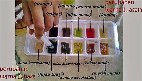 The Story Of Indikator Alami Asam Basa Ekstrak Bunga