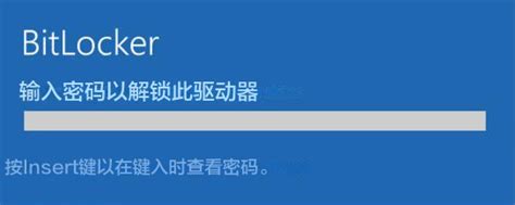 对 Windows 启动修复密码问题进行故障排除 Winre 和 Bitlocker 都叫兽软件 都叫兽软件