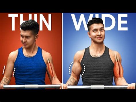 How To Target Short Head Of Biceps