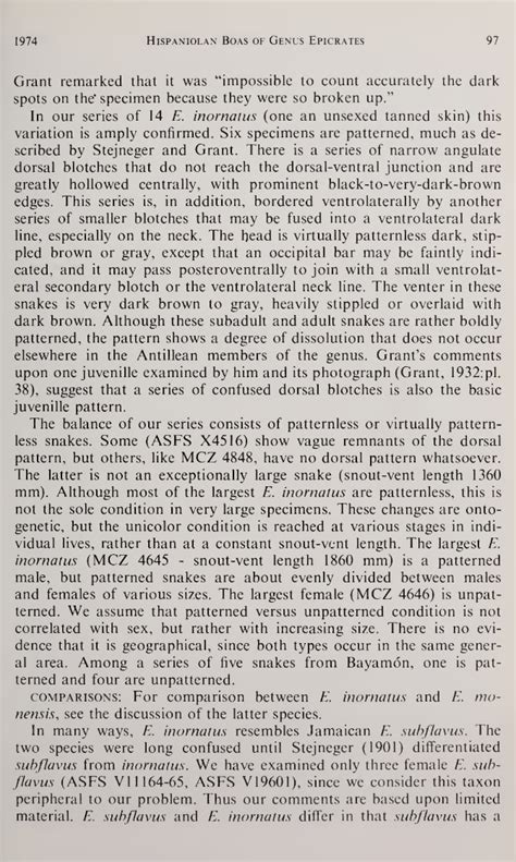 Chilabothrus Inornatus West Indian Boas
