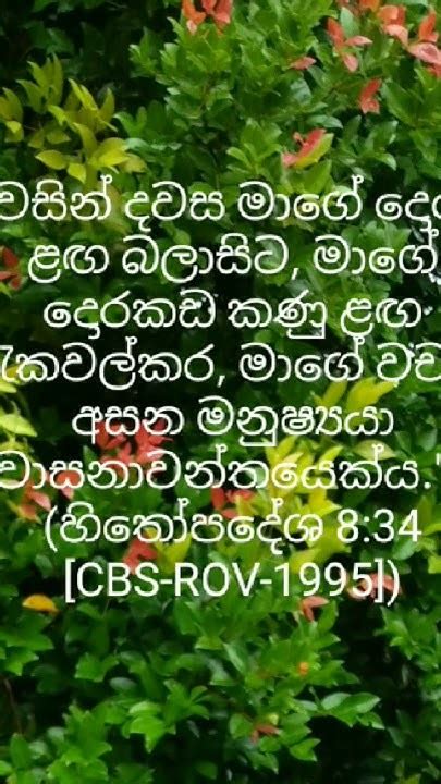 සුබ උදෑසනක් දවසේ දේව වචනය 🙏🙏🙏🙏 ️ ️ ️ ️ Youtube