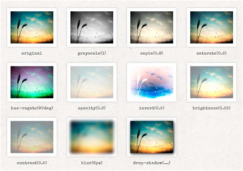 webkit filter is the new hotness and it s coming — webkitbits