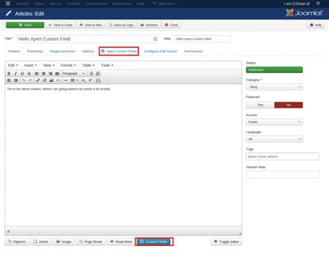 How To Add Custom Fields In Joomla Articles ThemeXpert